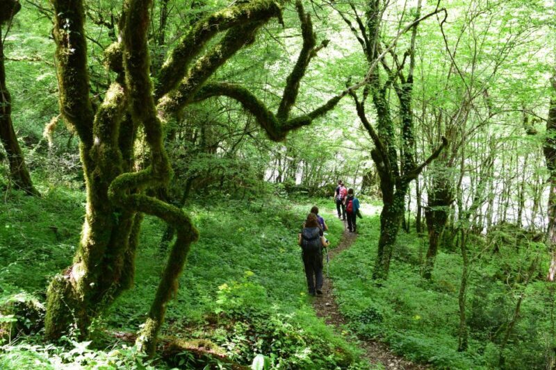 Zagori: Vikos Gorge full-day guided hike - Key Points