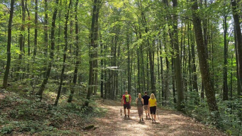 Zagreb Hike & Taste: City, Nature Park, Castle, Local Dishes - Authenticity and Review Highlights