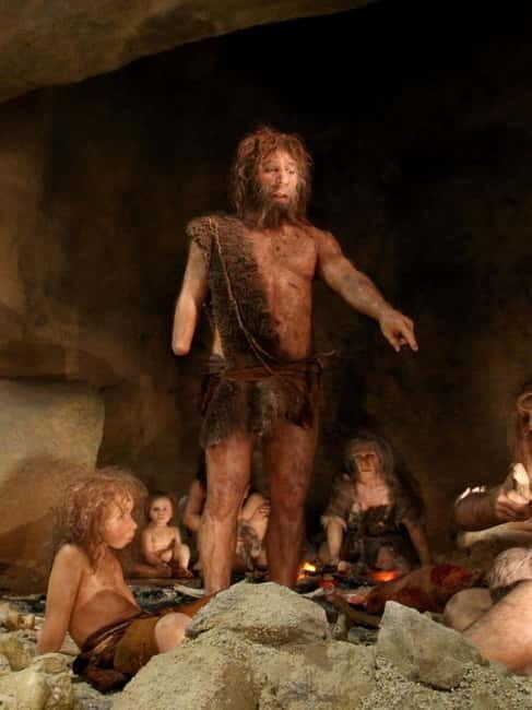 Zagreb: Krapina Neanderthal Museum & Trakoan Castle Tour - An Overview of the Experience
