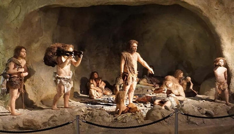 Zagreb: Krapina Neanderthal Museum & Trakoan Castle Tour - Practical Details and Tips