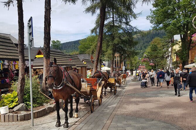 Zakopane and Tatra Mountains from Krakow, private tour - FAQ