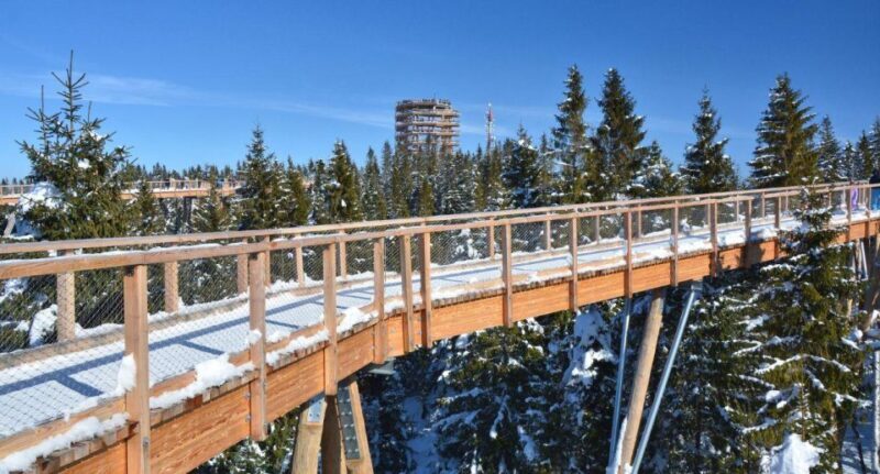 Zakopane: Bachledka Treetop Walk and Strbske Pleso Tour - Key Points