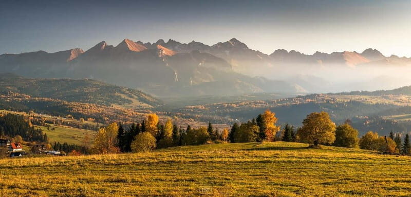 Zakopane: Buggy Ride Adventure with Bonfire and Transfers - Who Is This Tour Best For?