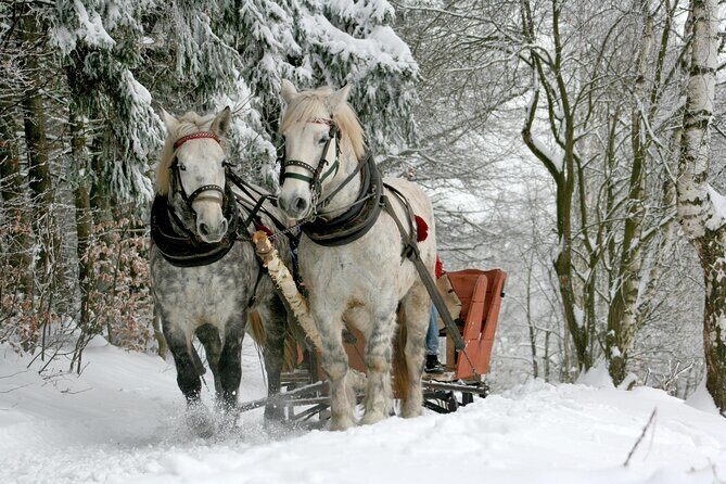 Zakopane Horse-Drawn Rides with Local Guide and Food Tasting - Convenience and Practicalities