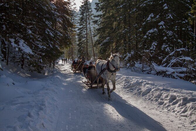 Zakopane Horse-Drawn Rides with Local Guide and Food Tasting - Insights from Reviews
