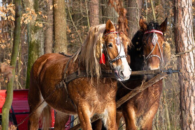 Zakopane Horse-Drawn Rides with Local Guide and Food Tasting - Who Will Love This Tour?