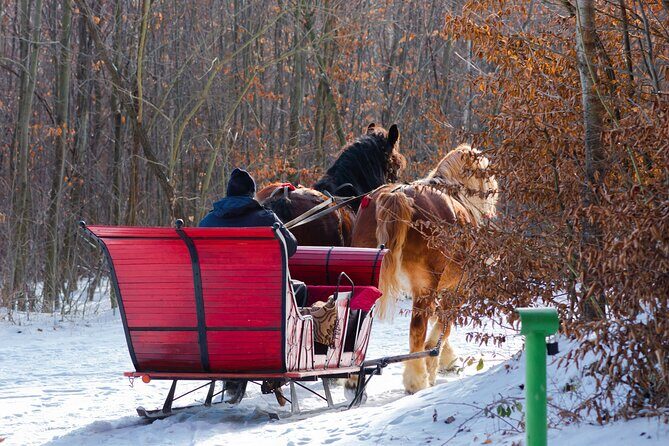 Zakopane Horse-Drawn Rides with Local Guide and Food Tasting - Final Thoughts