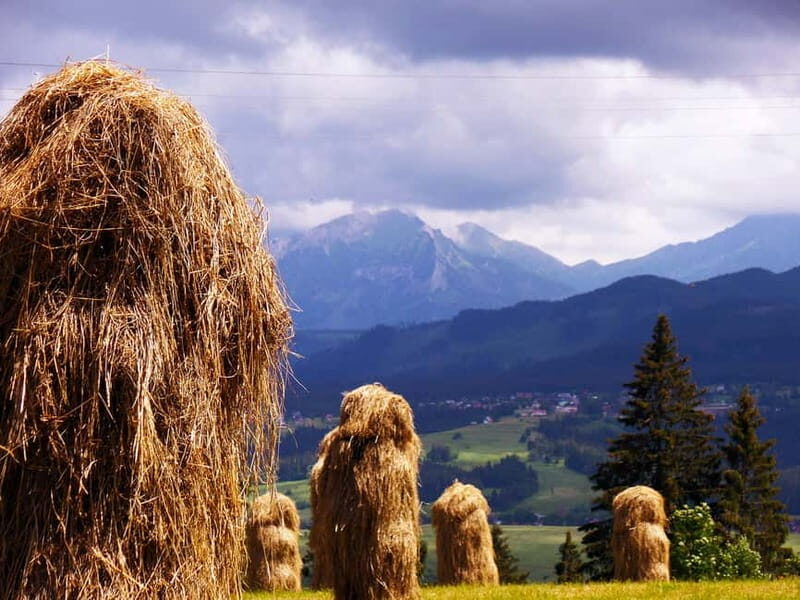 Zakopane Old Town Exclusive Walking Tour with Private Guide - The Value of a Private Guided Tour