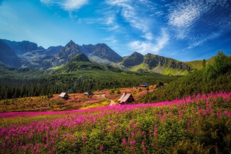 Zakopane: Private City Tour - Key Points
