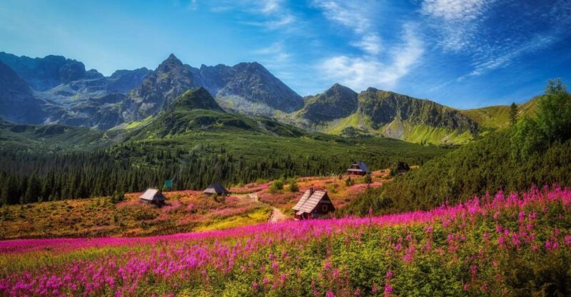 Zakopane: Private City Tour - Who Will Love This Experience?