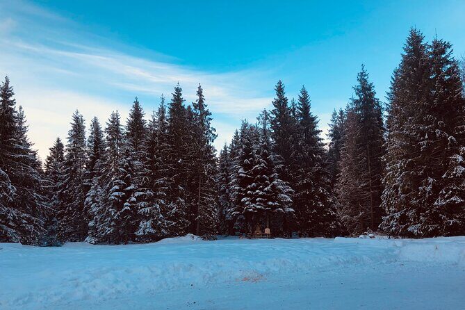 Zakopane & Sleigh Ride with Bonfire - Group Tour from Kraków - What Travelers Love About This Tour