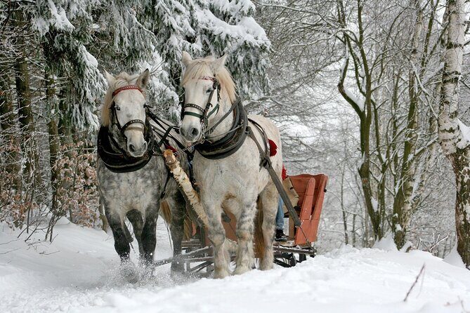 Zakopane & Sleigh Ride with Bonfire - Group Tour from Kraków - FAQ: Your Questions Answered