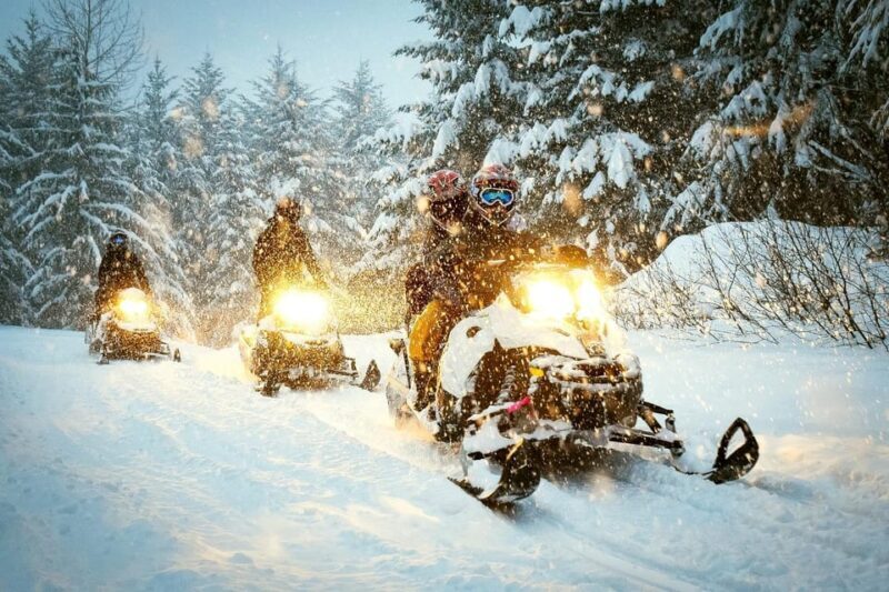 Zakopane: Snowmobile Ride with Bonfire and Private Driver - Key Points