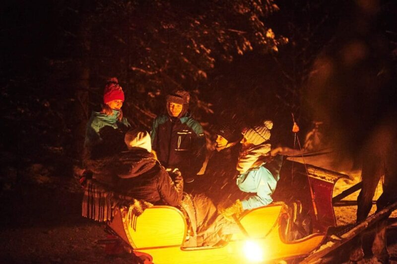 Zakopane: Snowmobile Ride with Bonfire and Private Driver - Who Will Love This Tour?