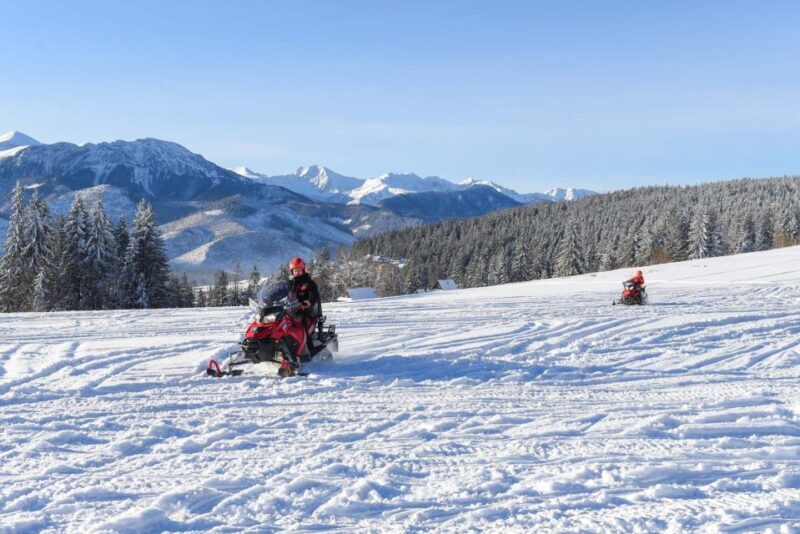 Zakopane: Snowmobiles Expedition and Optional Bonfire - Key Points
