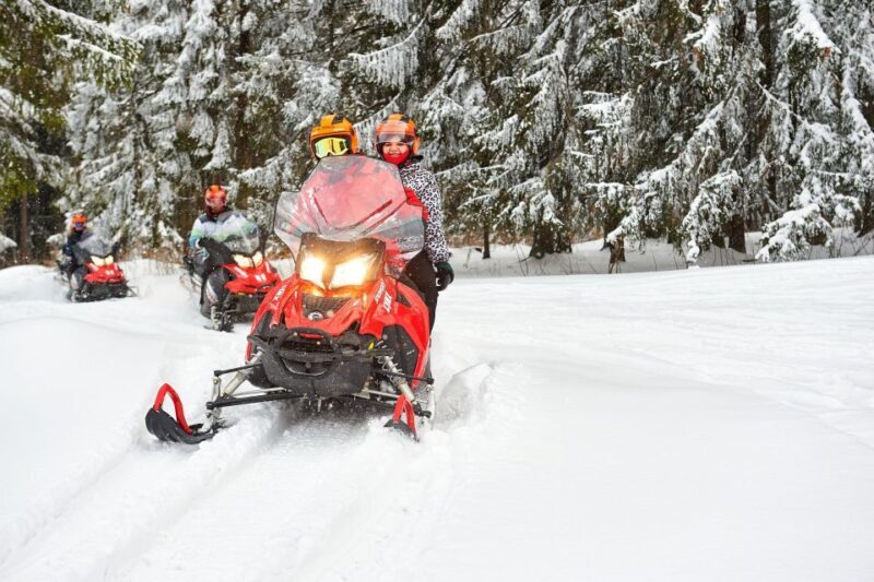 Zakopane: Snowmobiles Expedition and Optional Bonfire - What’s Included and Practical Tips