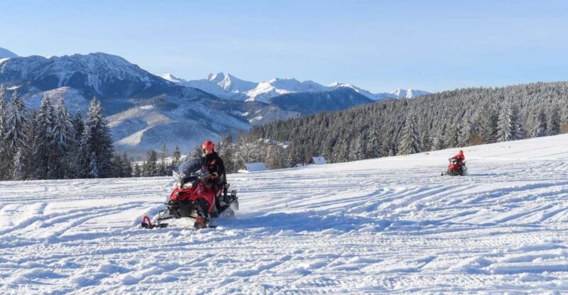 Zakopane: Snowmobiles Expedition and Optional Bonfire - Considerations: What to Keep in Mind