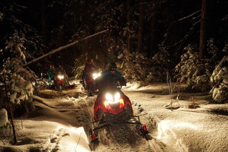 Zakopane: Snowmobiles Expedition and Optional Bonfire - Who Is This Tour Best For?