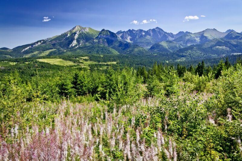 Zakopane: Tatra Mountains Full Day Tour from Krakow - Why This Tour Is Perfect for You