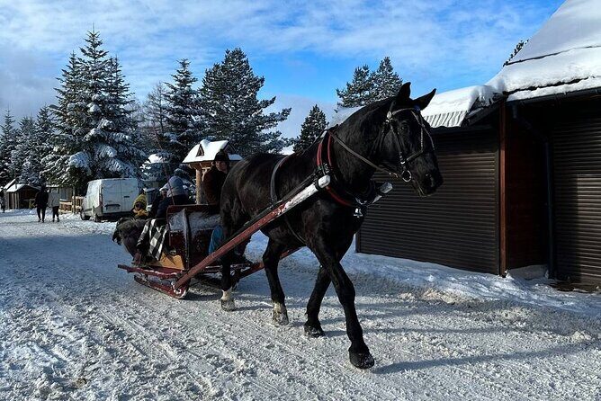 Zakopane Tour from Krakow with Thermal SPA and Hotel Pick up - The Itinerary Breakdown: What to Expect at Each Stop