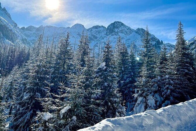 Zakopane Tour from Krakow with Thermal SPA and Hotel Pick up - Who’s This Tour Best For?