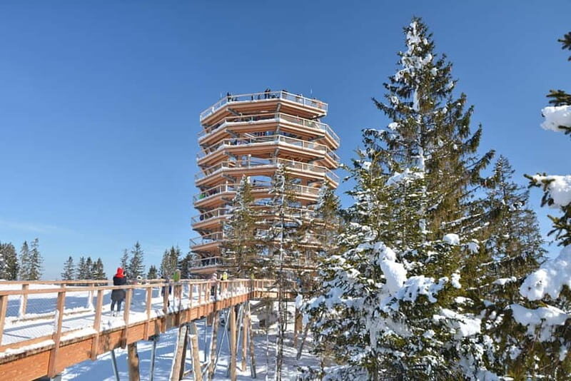 Zakopane: Treetop Walk & Niedzica Castle Private Tour - A Practical Overview of the Tour