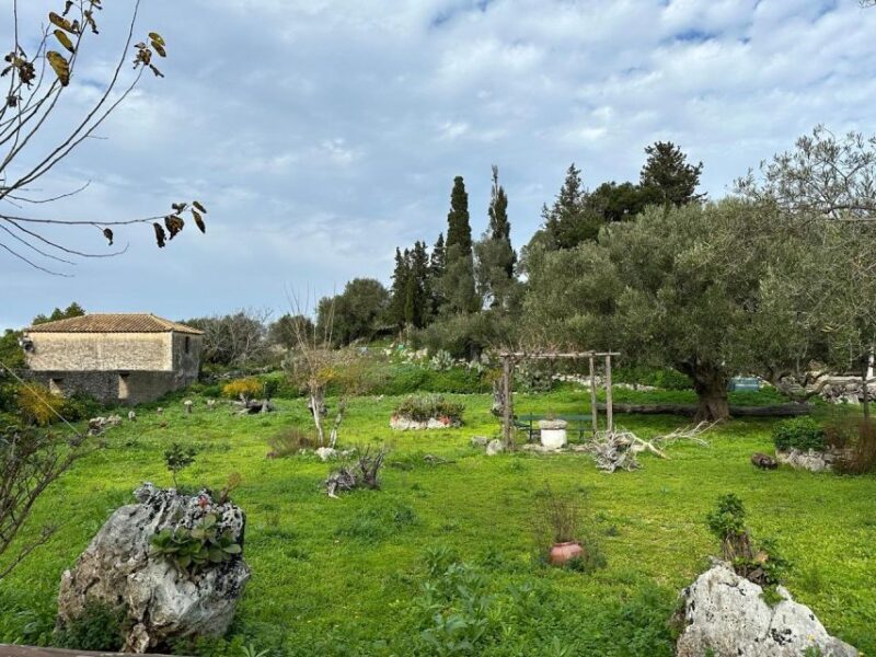 Zakynthos 4x4 off-road experience with Lunch - Scenic Spots and Photography Opportunities