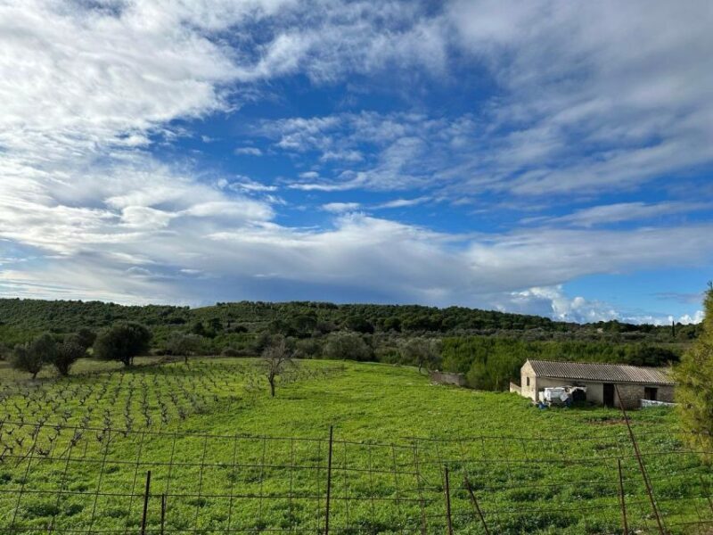 Zakynthos 4x4 Sunset Safari - Final Thoughts