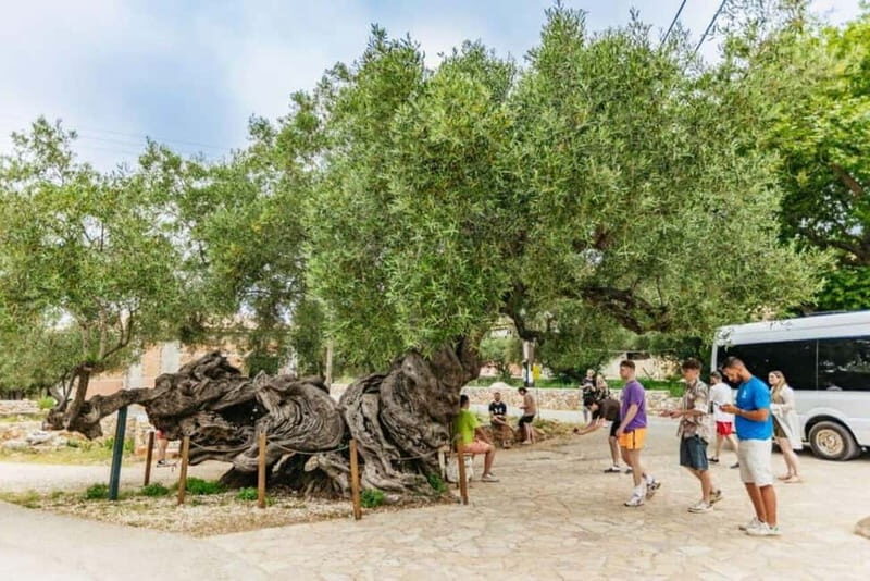 Zakynthos: Discover The Past - Who Should Consider This Tour?