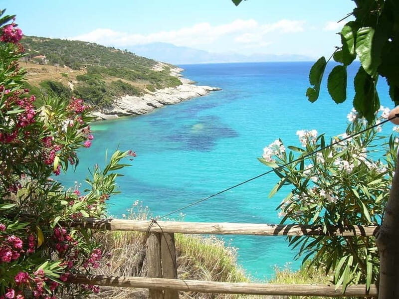 Zakynthos Island: Private Tour in a Minibus - Optional Wine Tasting at a Local Winery