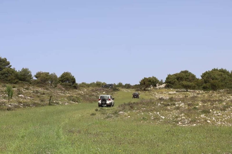Zakynthos: Jeep Safari + Full Day Sea & Land Tour - Final Thoughts