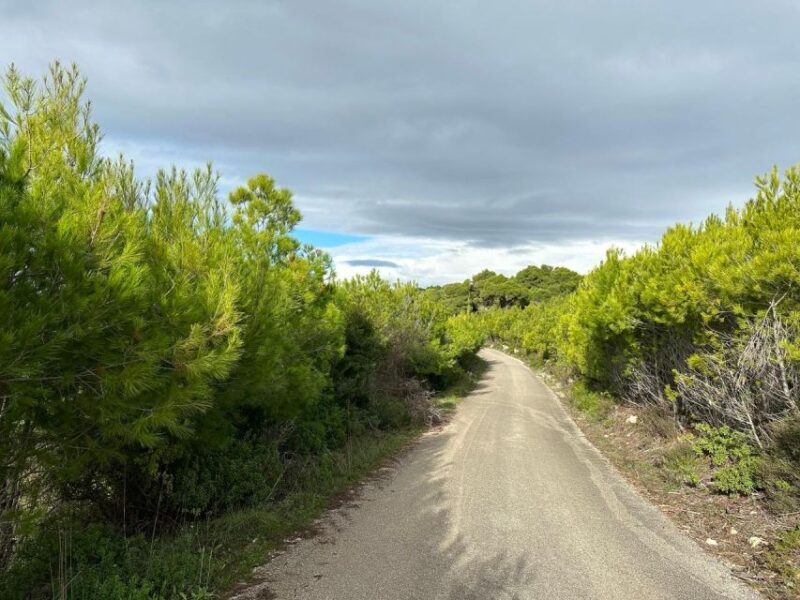 Zakynthos Premium 4x4 Sunset Escape - An In-depth Look at the Zakynthos Sunset Tour