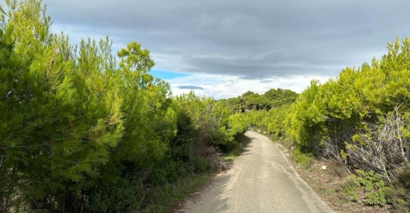 Zakynthos Premium 4x4 Sunset Escape - Why You Should Consider This Tour