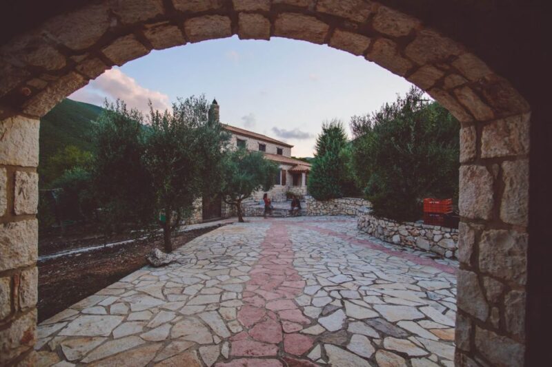 Zakynthos: Vineyard & Winery Tour with Local Winemaker - An In-Depth Look at the Vineyard & Winery Tour