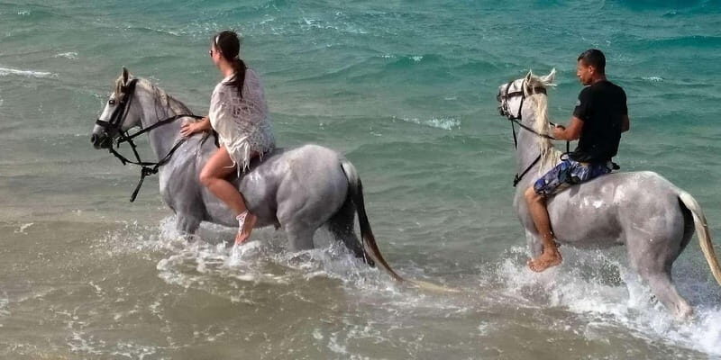 Zakynthos: Yotomu Horseback Riding Tour - What It Feels Like to Participate