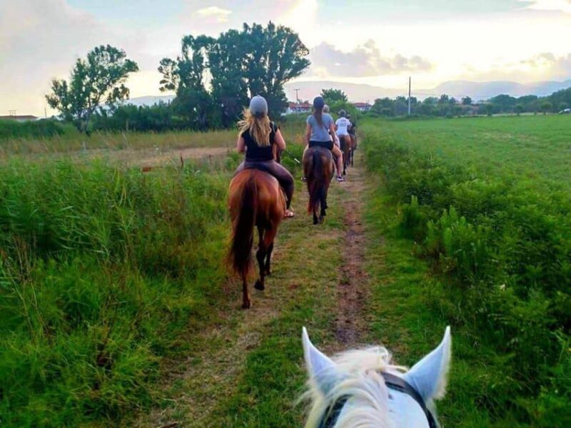Zakynthos: Yotomu Horseback Riding Tour - FAQ