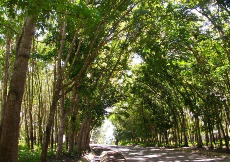 Zamboanga: Basilan Island Tour with Hotel Transfer - Price and Value