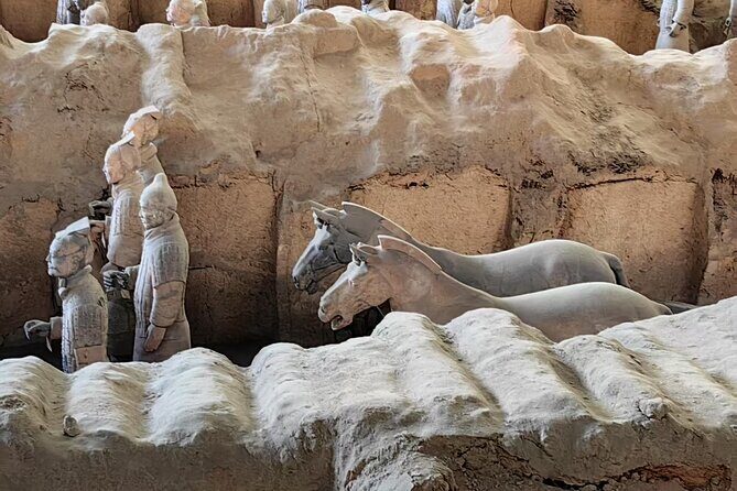 ZANBUS: Xi'an Qin Terra-cotta Warriors Bus Tour Departs at 8/9 AM - Frequently Asked Questions