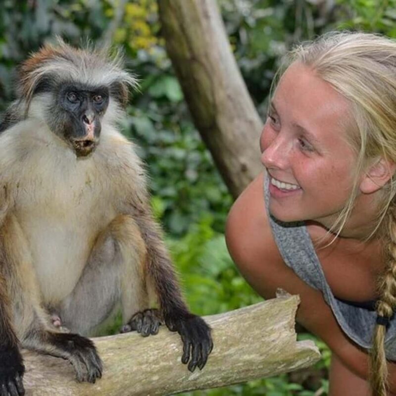 Zanzibar: Jozani Forest Tour - Key Points