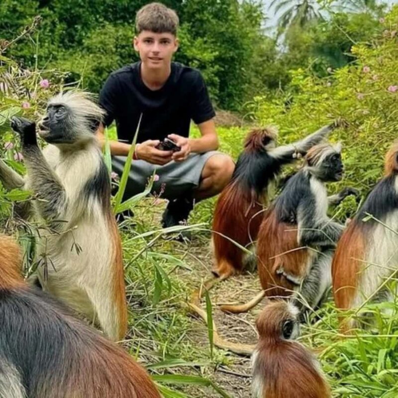 Zanzibar: Jozani Forest Tour - What is Jozani Forest?