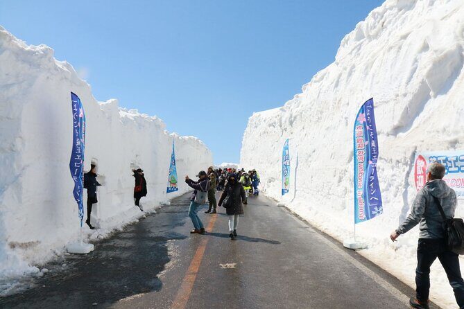 Zao Snow Wall & Sakura with Hanami Lunch Box Bus Tour from Sendai - An In-Depth Look at the Tour Experience