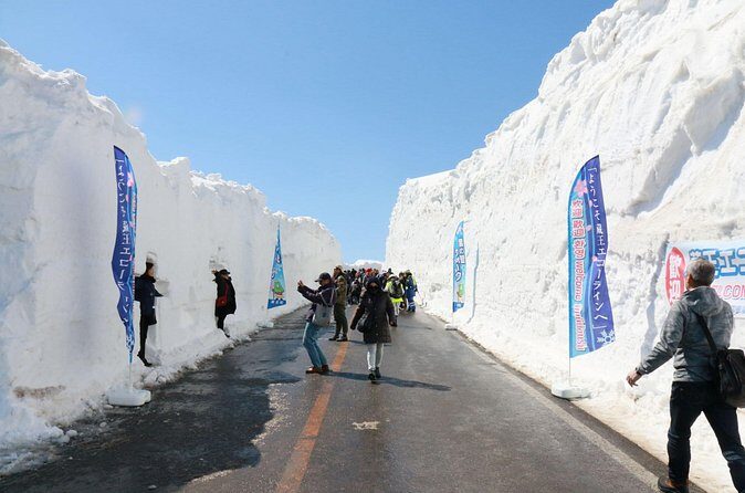 Zao Snow Wall & Sakura with Hanami Lunch Box Bus Tour from Sendai - Who Should Consider This Tour?