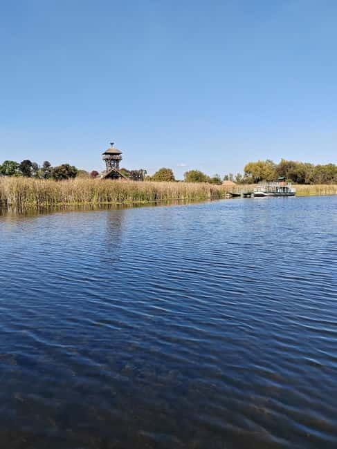 Zasavica Safari Tour - A Detailed Breakdown of the Itinerary