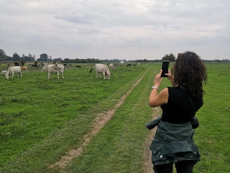 Zasavica Safari Tour - Authenticity and Overall Value