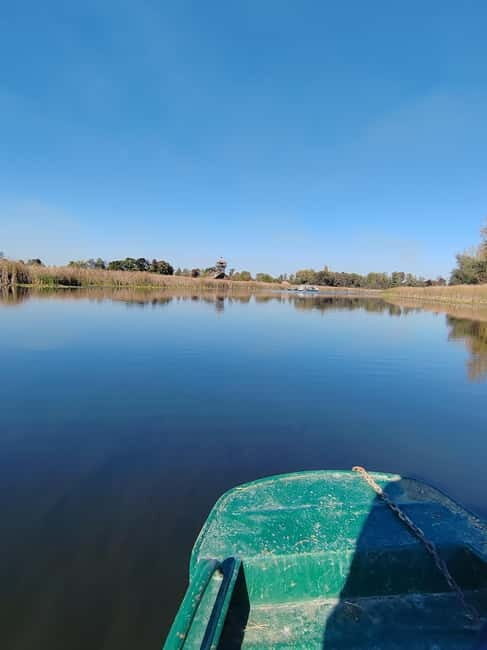 Zasavica Safari Tour - Who Should Consider This Tour?