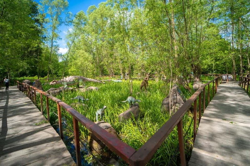 Zatorland Amusement Park: Entry Ticket - Tips for Visiting and Making the Most of Your Day