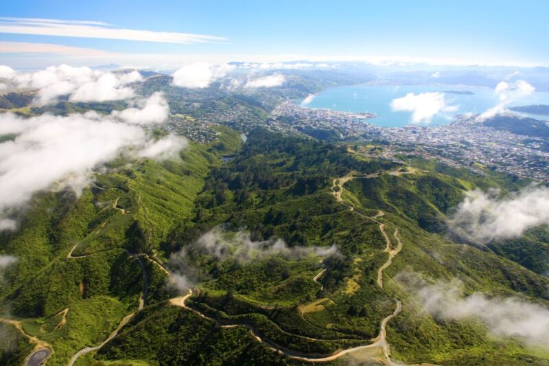 Zealandia by Day Tour - FAQs