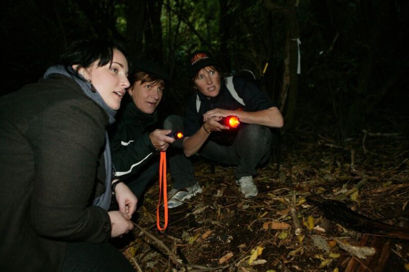 Zealandia by Night Tour - The Sum Up: A Night You Won’t Forget