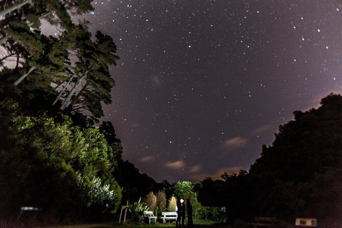 Zealandia Small Group Eco Wildlife Night Tour - Why This Tour Offers Genuine Value