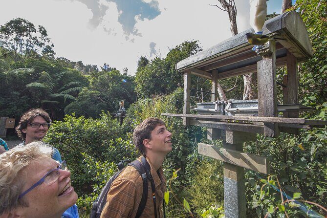 Zealandia Small Group Eco Wildlife Night Tour - The Sum Up: Who Will Love Zealandia’s Night Tour?